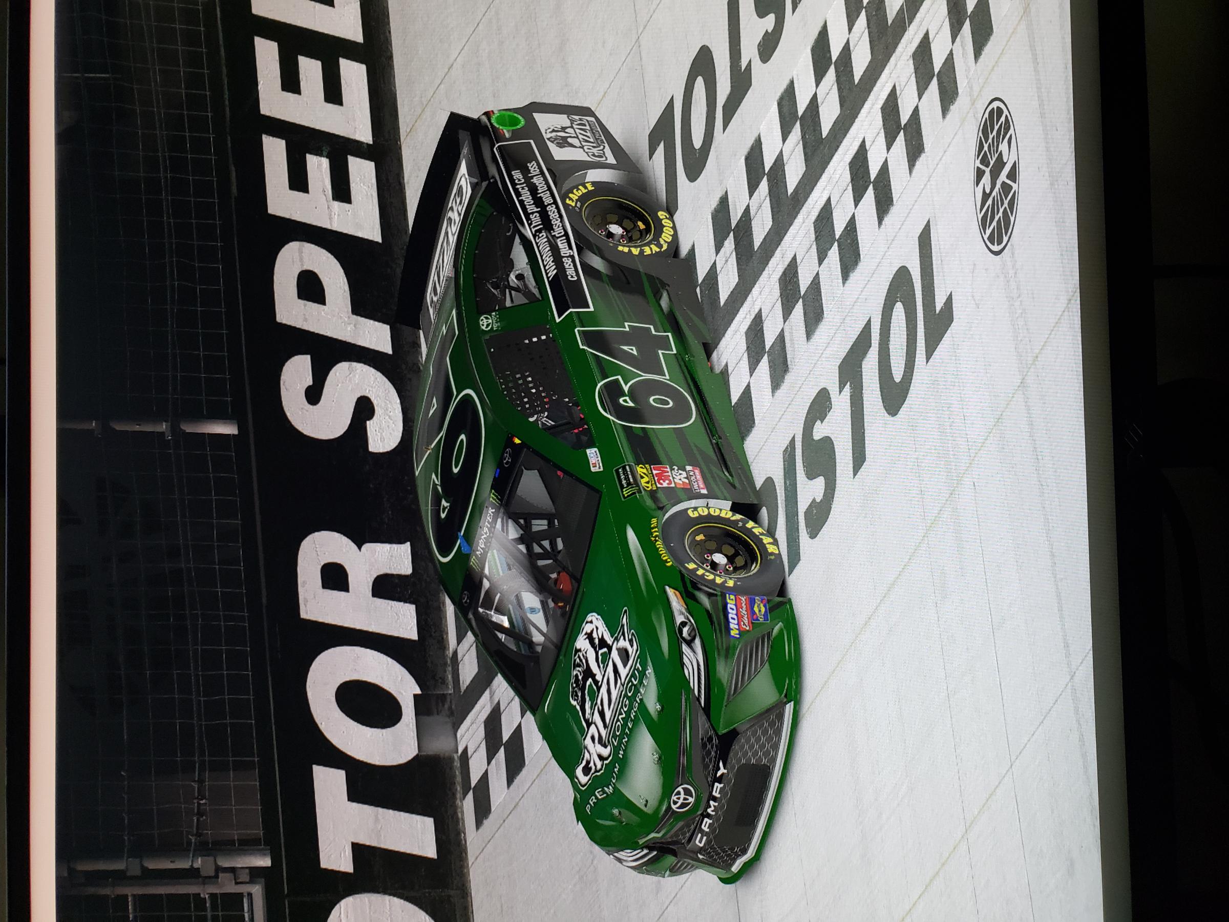 Grizzly Wintergreen by Billy Delbridge - Trading Paints