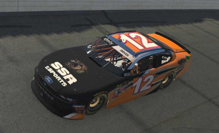 Team Livery - Savage Sim Racing by Wayne Bennett - Trading Paints