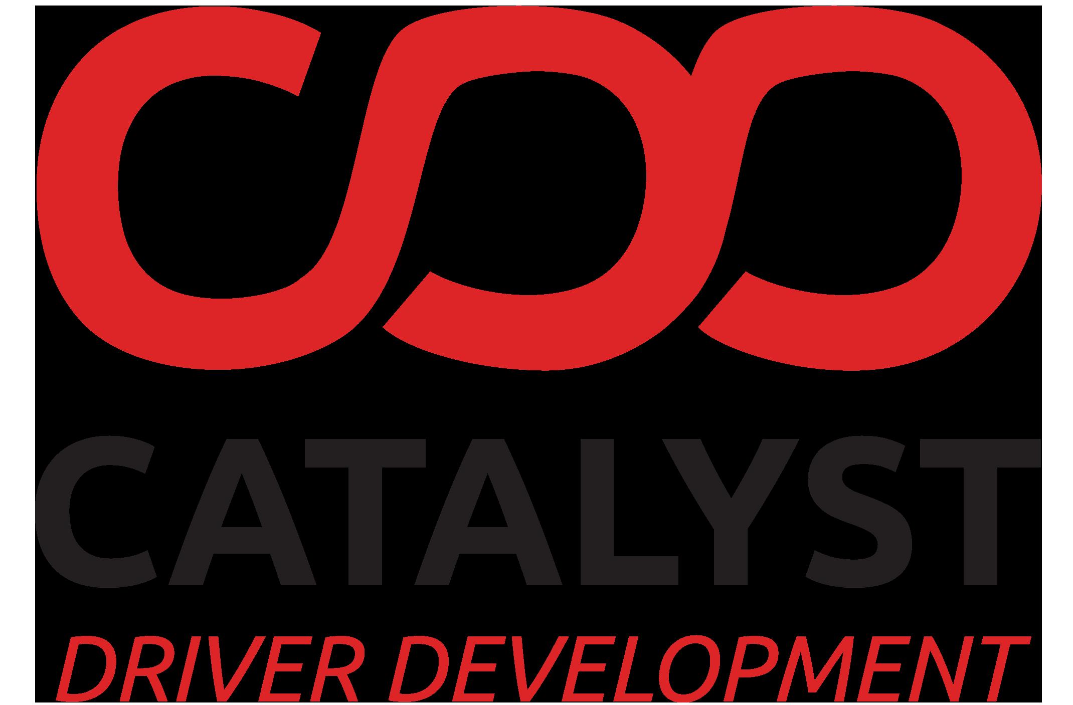 Remo Ruscitti Catalyst Driver Development AMG GT3 by Michael Adams18 ...