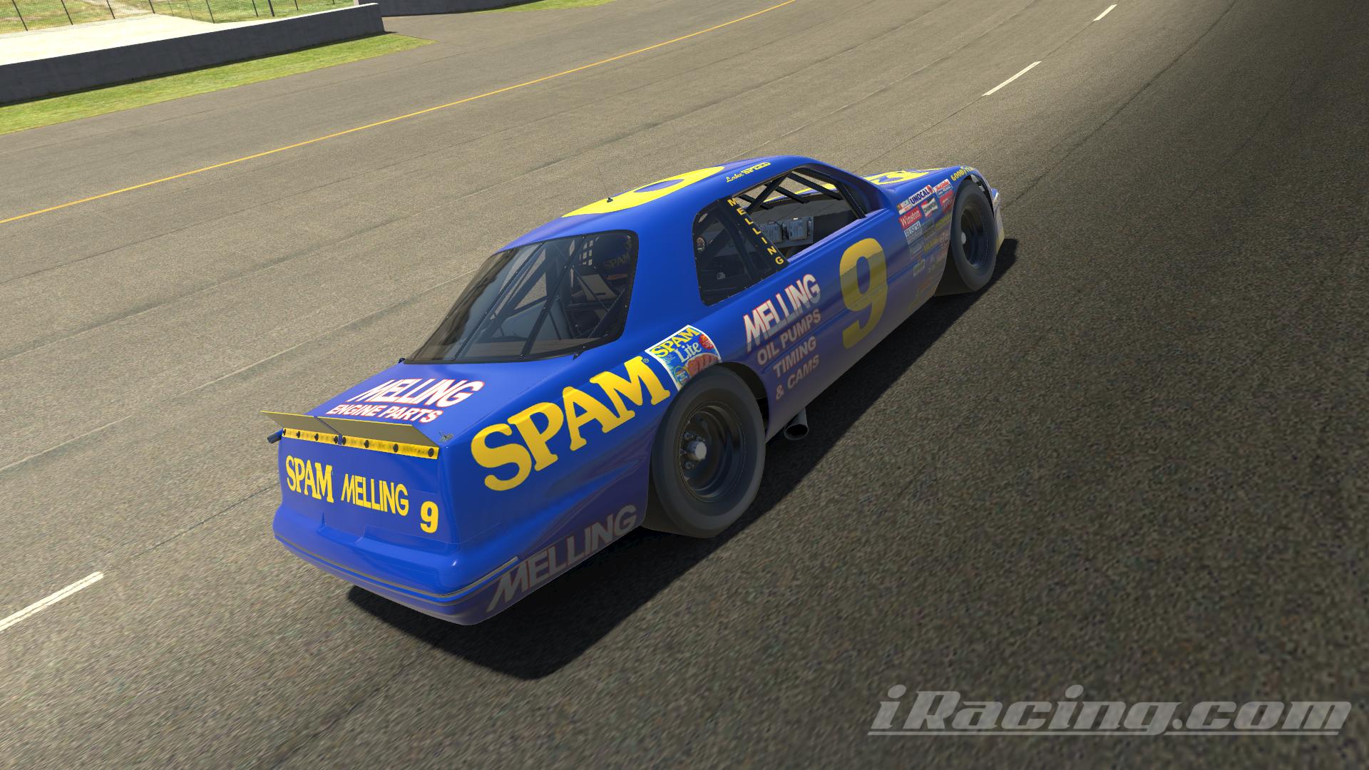 Lake Speed 90s Spam Ford Thunderbird (W/O Custom #) by Steven Waller ...