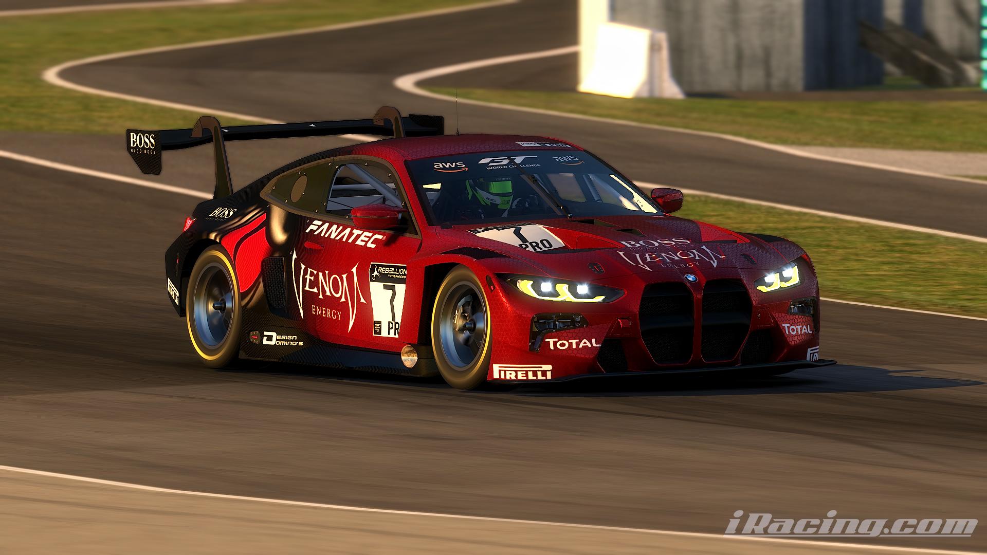 BMW Venom Racing by Niclas Domino - Trading Paints