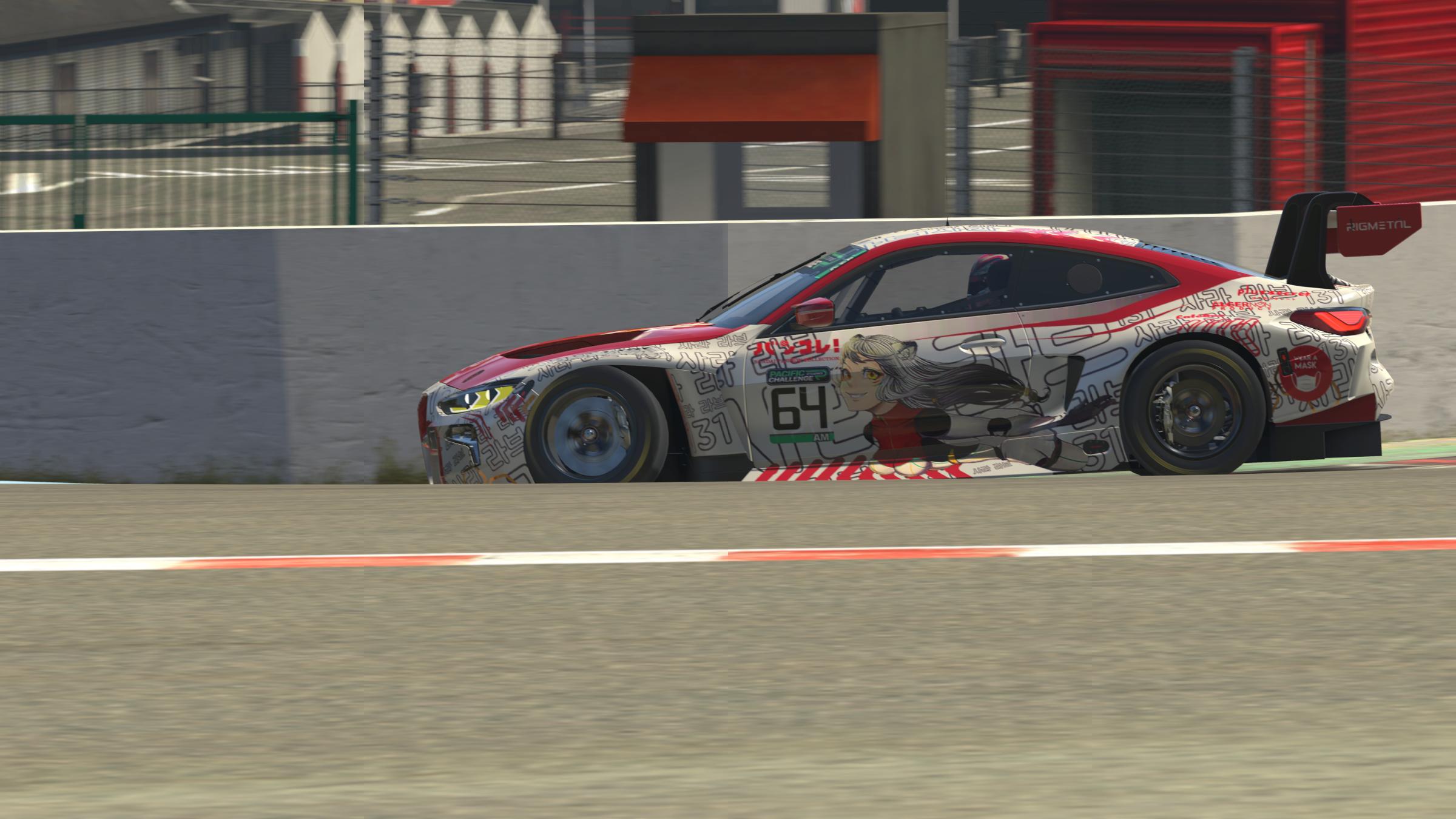 2021 Personal Livery - BMW GT3 by Sara Raab - Trading Paints