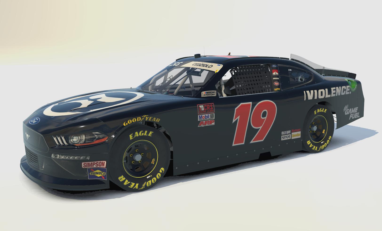 VSM Test Car NASCAR Xfinity Ford Mustang by Travis Cedzidlo - Trading ...