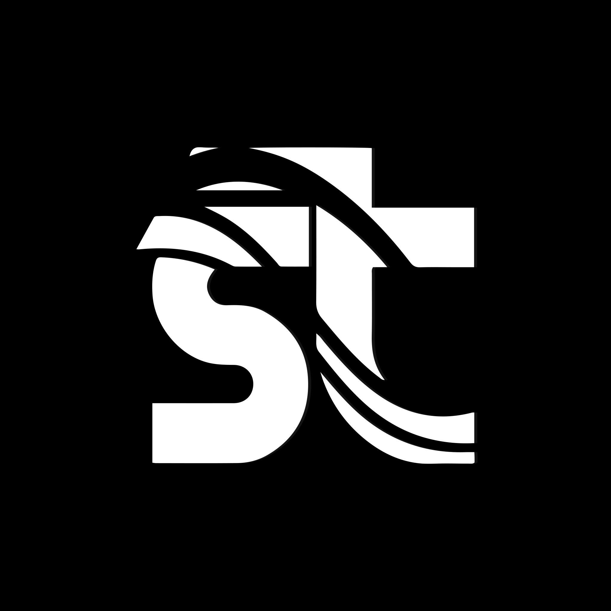 STR Porsche RSR WIP by Sam Wooldridge - Trading Paints