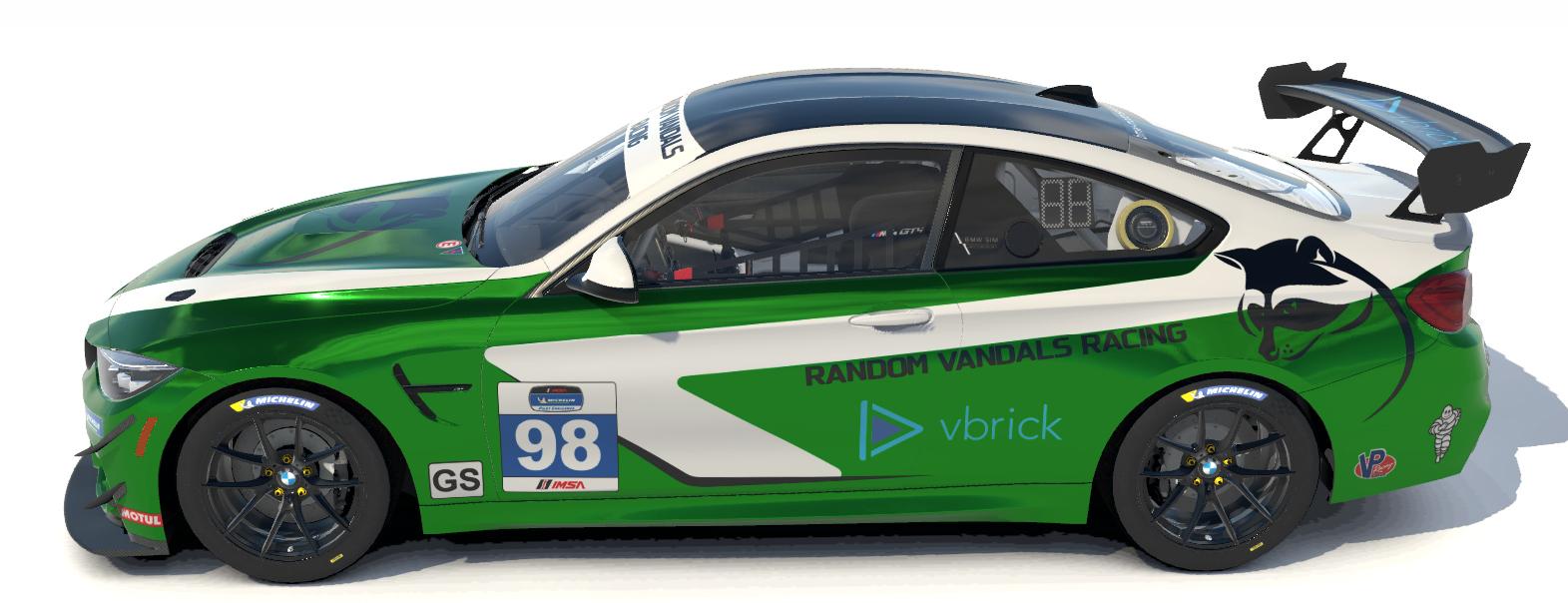 Random Vandals Racing GT4 by Mertol Shahin - Trading Paints