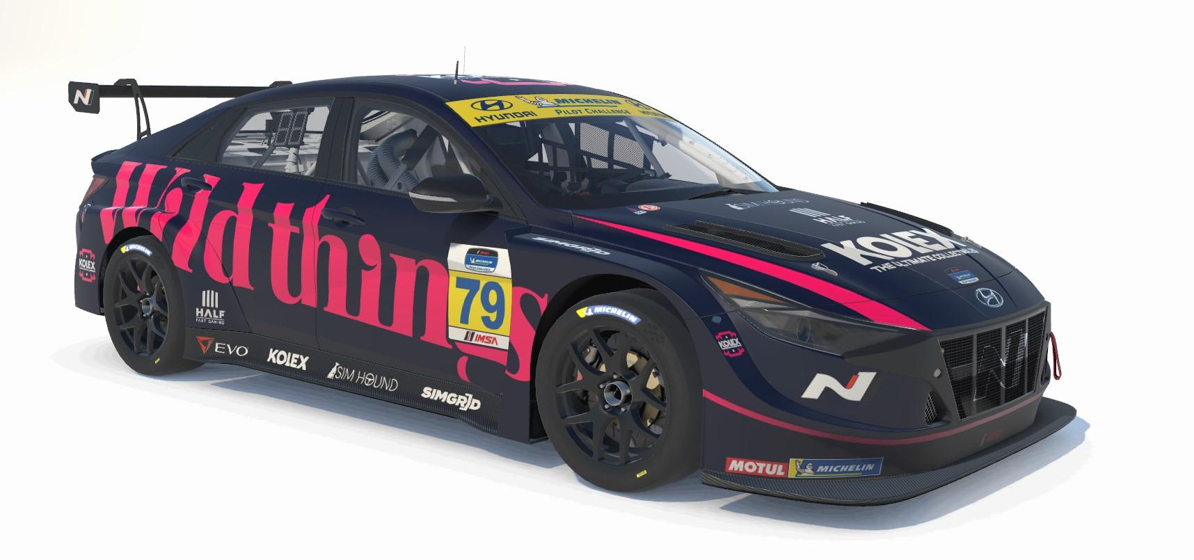 Wild things Racing 2023 Hyundai Elantra IMSA by Denise Pope - Trading ...
