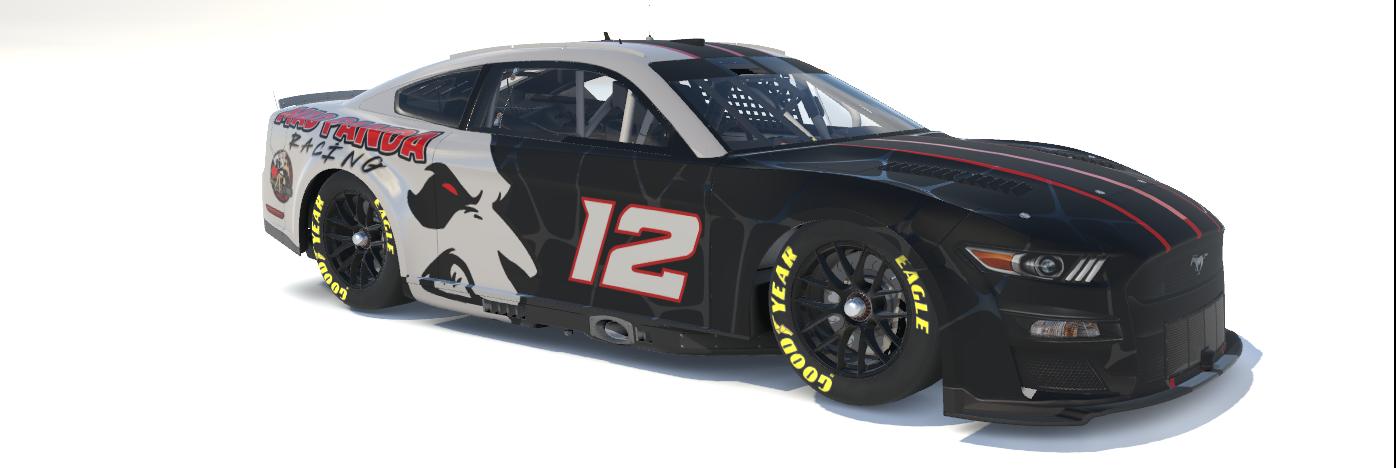 MAD PANDA RACING by David Demarest - Trading Paints