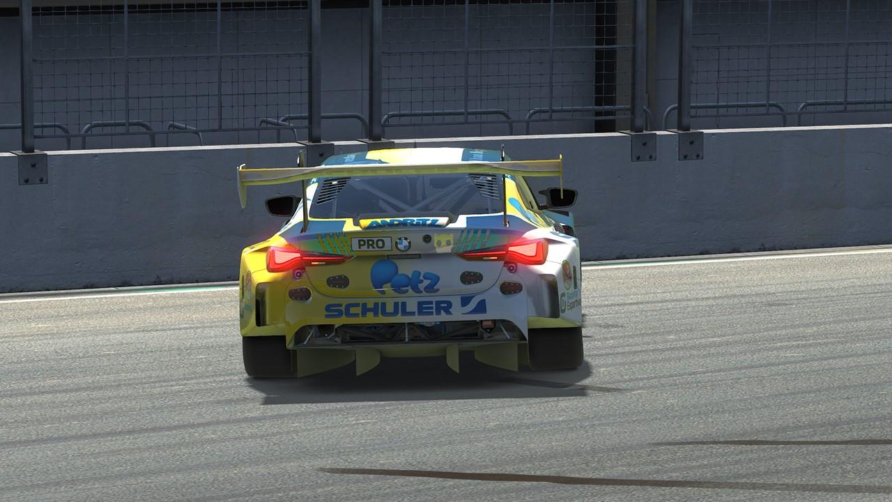 DOUBLE SIDED PETZ SCHULER 2023 CAR - FREE ENJOY by Bruno Romanzini ...