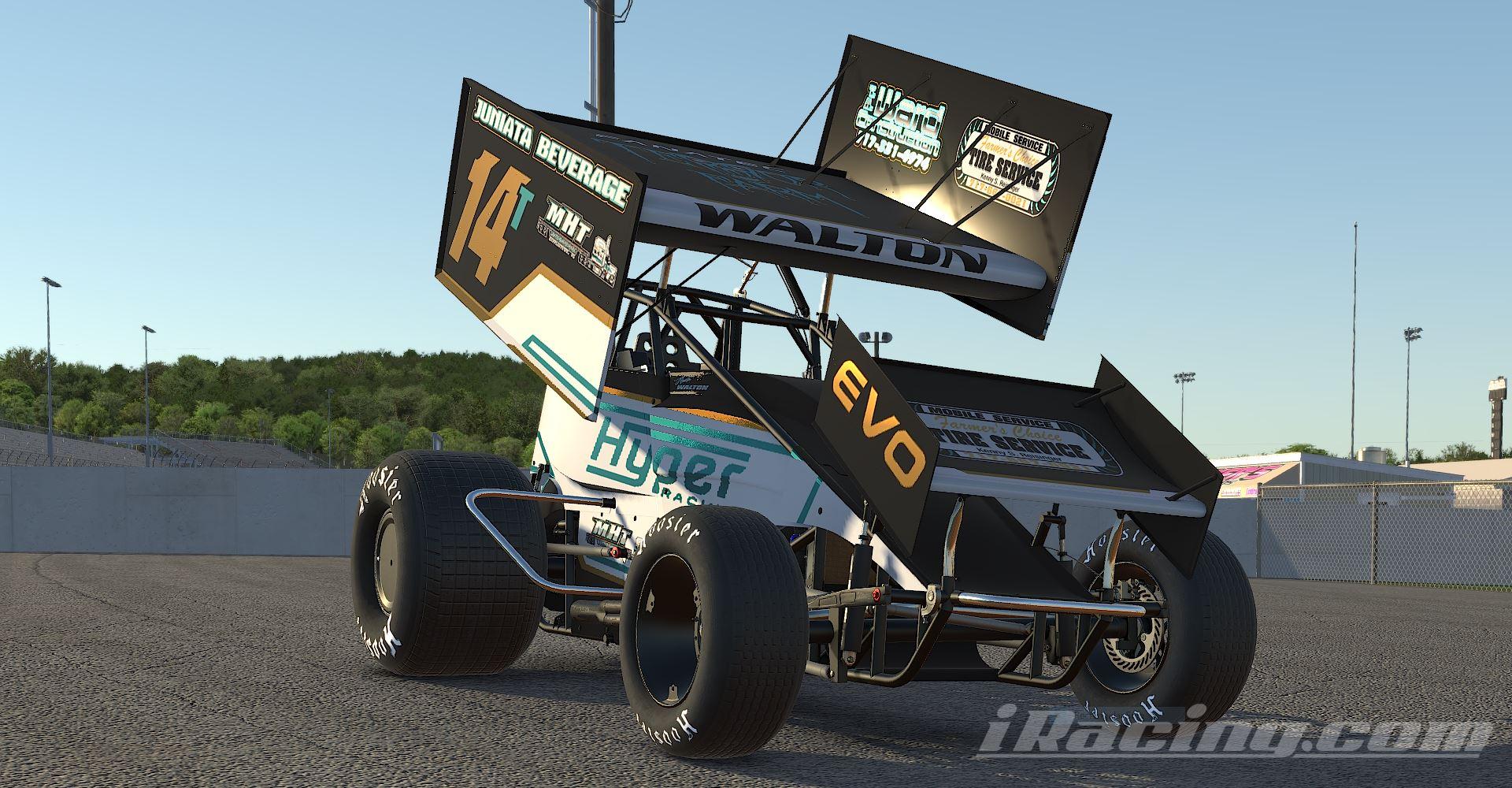 Heath Walton by Christopher Hockley - Trading Paints