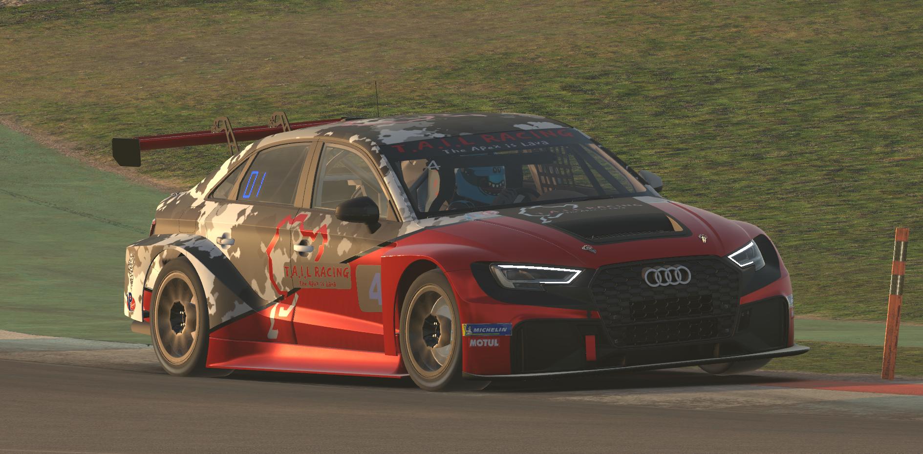 TAIL Ring Runners - Audi RS3 TCR by Dave Hernandez - Trading Paints