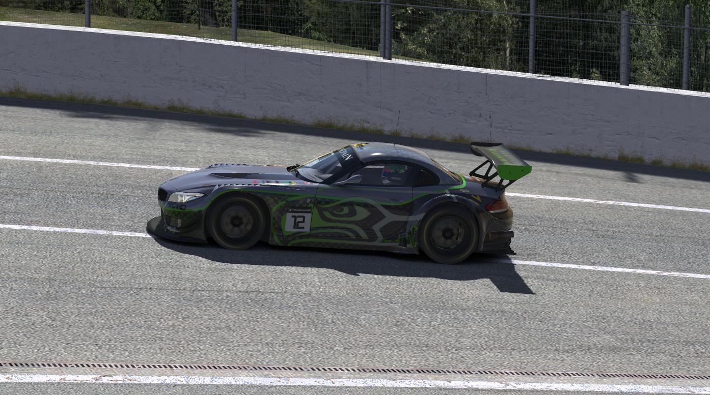 Hawks Feather BMW Z4 GT3 by Drew K. - Trading Paints