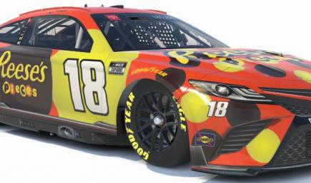 #18 Kyle Busch Reeses Pieces Next Gen Fictional NO NUMBER by Ty LeClerc ...