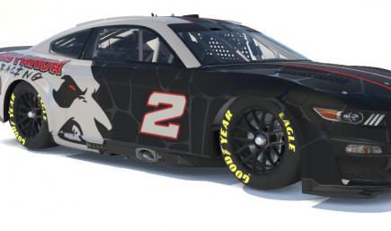 MAD PANDA RACING by David Demarest - Trading Paints